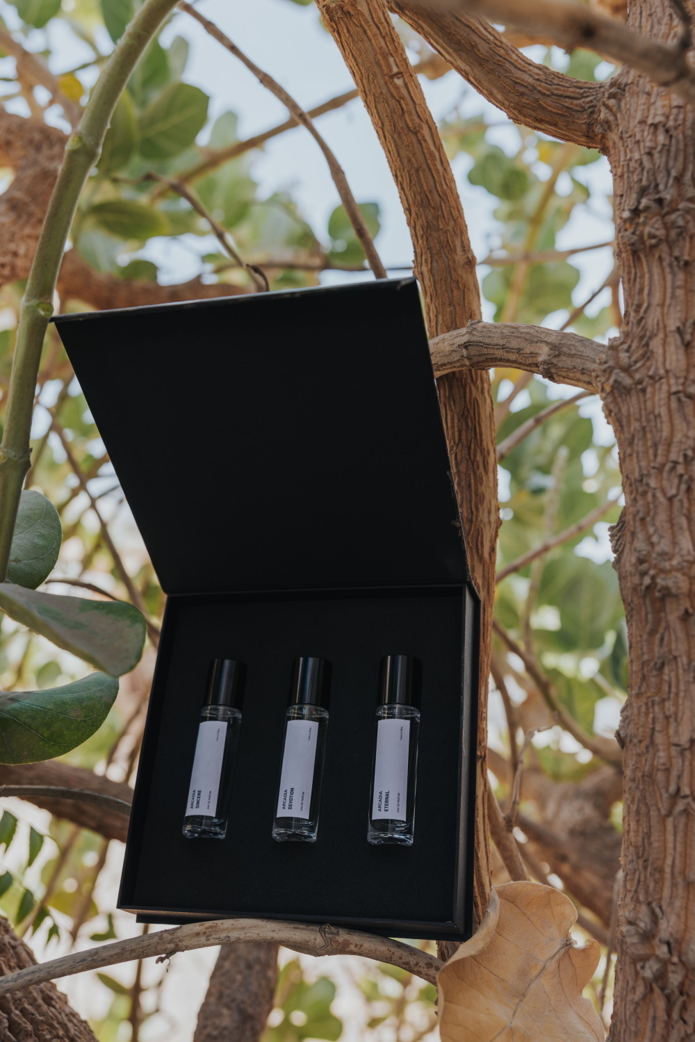 Arcadia Founder Returns to Her Roots with the Launch of Edition 3 - Al ...