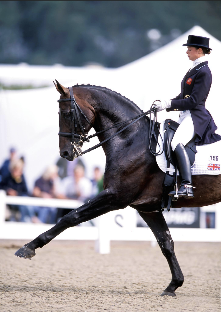 The Royal Stables in Abu Dhabi Launch - Al Badia Horse Polo Magazine ...