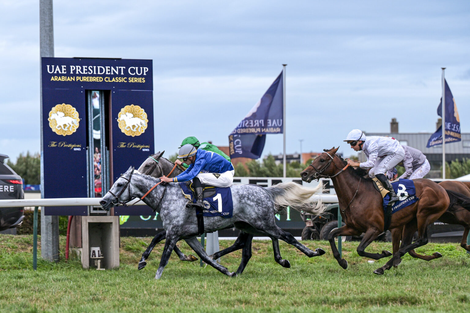 Al Zeer Claims the UAE President’s Cup for Purebred Arabian Horses in ...