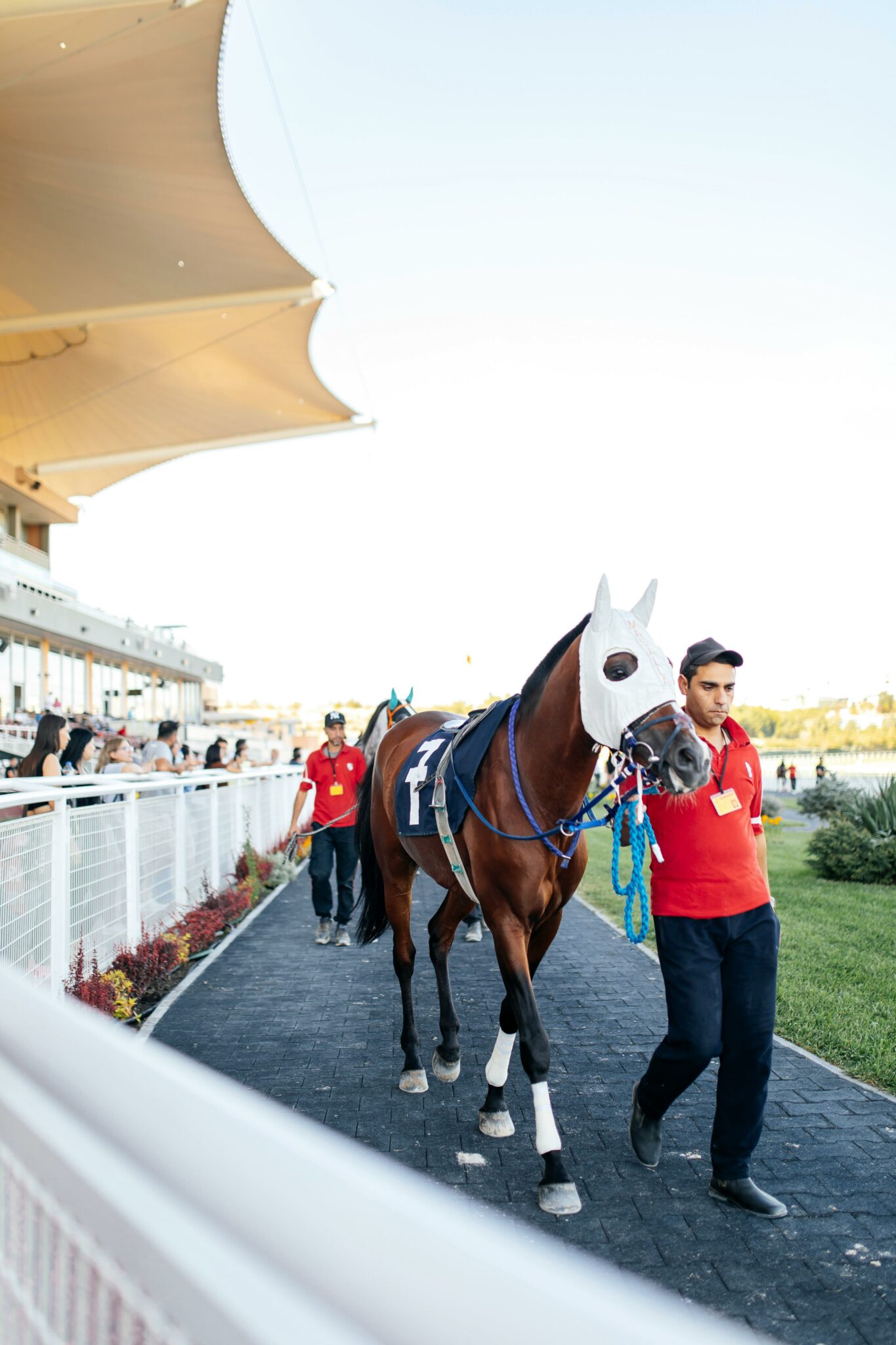 Inside Dubai Racing Club: What Fans Don’t See Behind the Scenes - Al ...