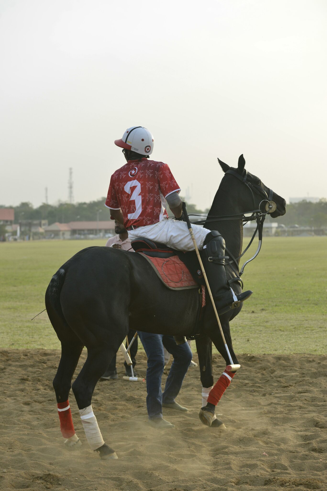 The Making of a Champion: Why Polo Horses Are the True Elite Athletes ...