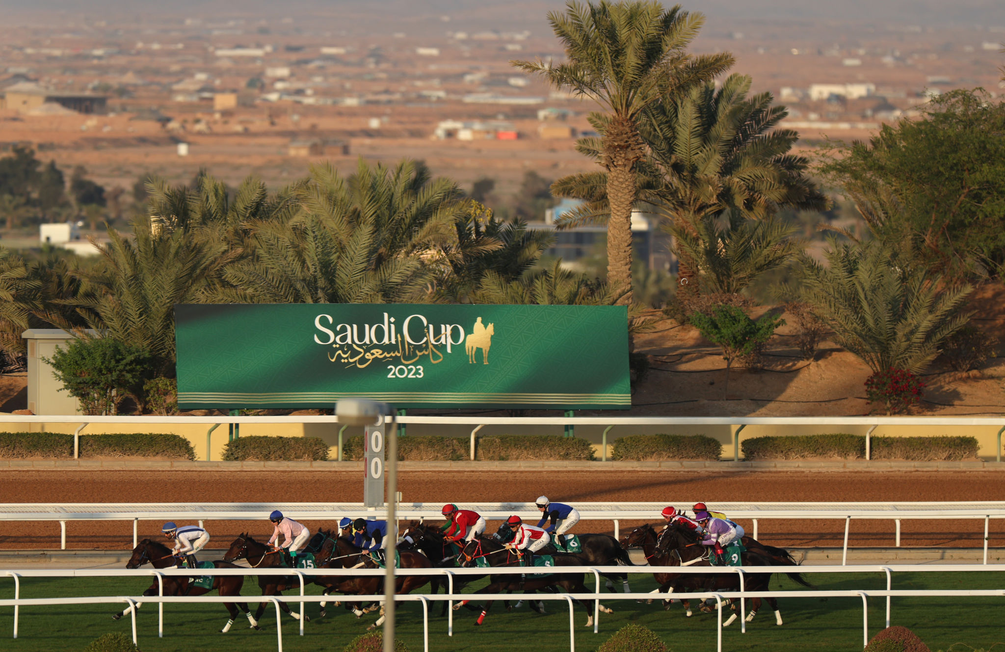 The Saudi Cup : The event that redefined horse racing in Saudi Arabia ...